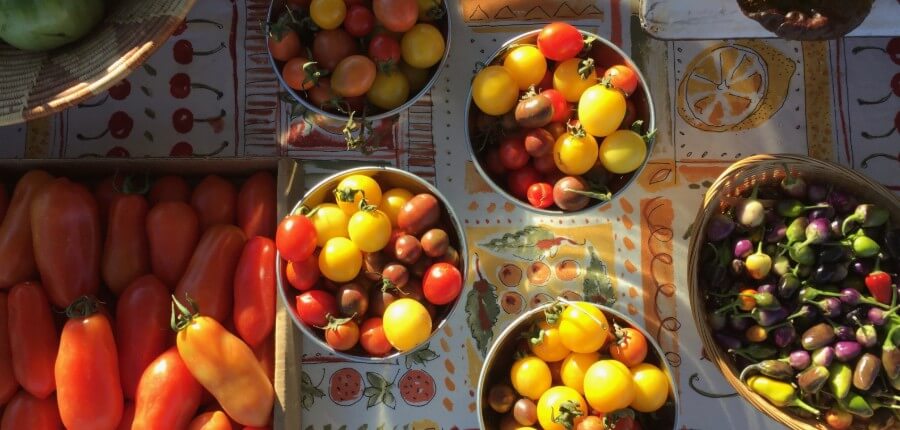 Food Waste Fix - World of Squashbuckling